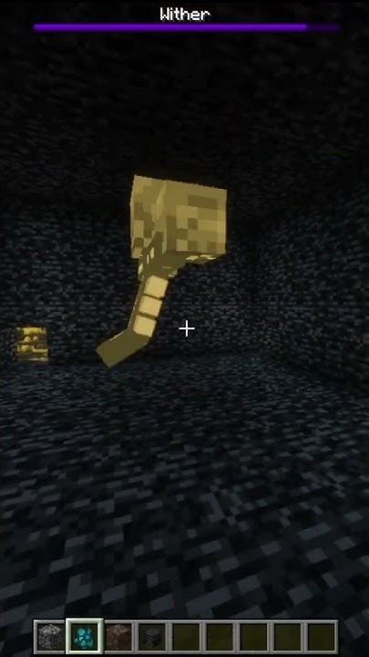 Sebarapa Kuat Wither Sceleton Vs Warden🔥shorts Minecraft Youtube