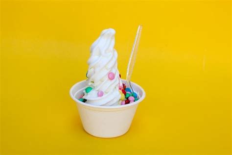Frozen Yogurt Vs Gelato At Virginia Hill Blog