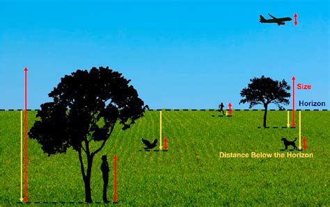 Figure 1 From Can People Infer Distance In A 2d Scene Using The Visual Size And Position Of An