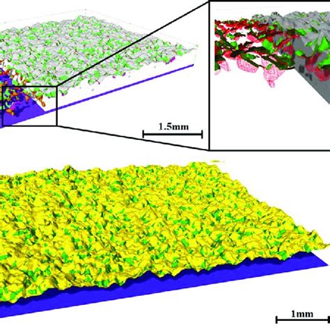 3d Image Analyses Of The Different Identified Surfaces Of The Cgs Ti
