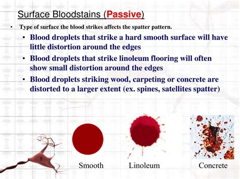 Passive Definition Forensics At Joel Morton Blog