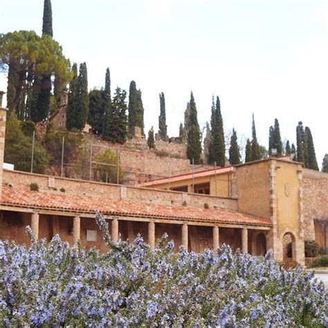 후아유네 프랑스자수 And 카페후 쥔장 Luckylala7 • Instagram Photos And Videos Exterior Around The Worlds