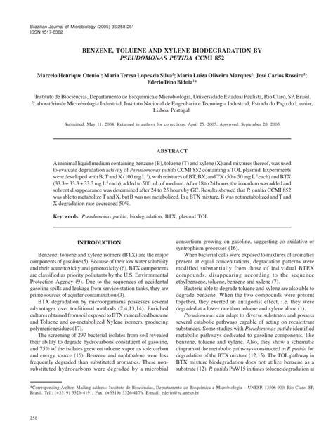 Pdf Benzene Toluene And Xylene Biodegradation By Pseudomonas Putida