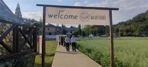 农工党临安区文卫支部：学习贯彻全国“两会”精神 开展生态农业调研澎湃号·政务澎湃新闻 The Paper