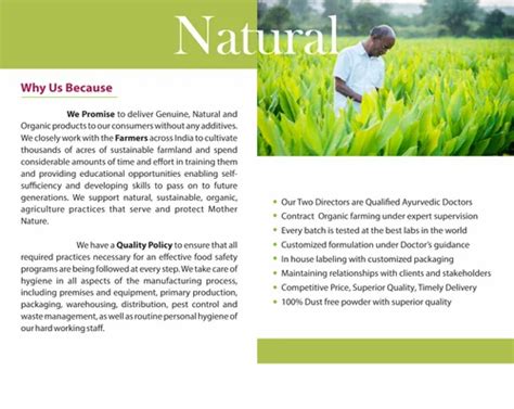 Wheatgrass Tea Cut Packaging Type Poly Bag Packaging Size 25 Kg At