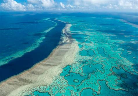 Unesco Considera Listar Barreira De Corais Da Austrália Como Em Perigo