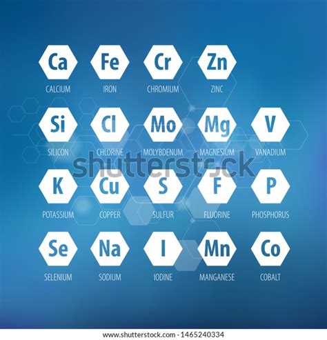 Minerals Human Health Schematic Scientific Image Stock Vector Royalty