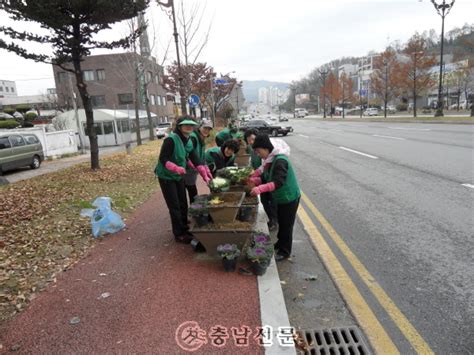 일봉동부녀회 ‘겨울에 꽃피는 거리조성충남신문
