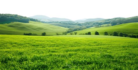 Grass Field Pngs For Free Download