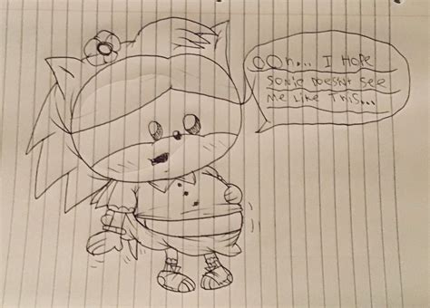 Stuffed Amy Rose Sth By Squirrelcatreborn On Deviantart