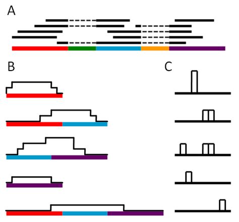 Boiler Lossy Compression Of Rna Seq Alignments Using Coverage Vectors