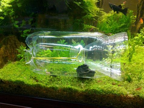 Самоделки для аквариума своими руками идеи на фото