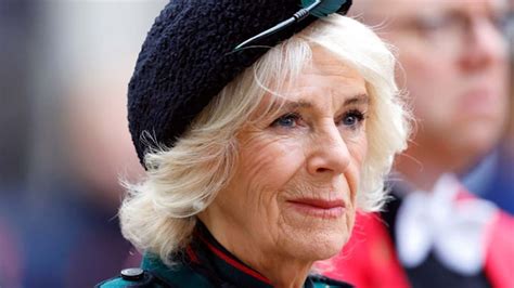 Queen Camilla Entrances In £72k Diamond Accessory Yes Really Hello