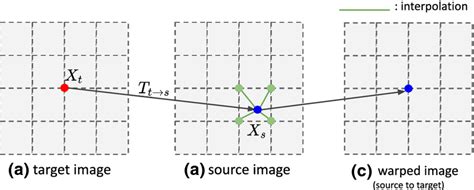 Image Warping Procedure Xt Documentclass[12pt]{minimal} Download Scientific Diagram