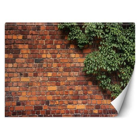 Papier Peint Mur De Briques Avec Plante Grimpante X Cm