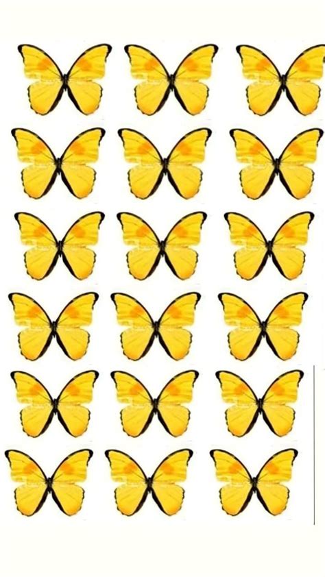 Mariposas Para Recortar Google Search Butterfly Art F Vrogue Co