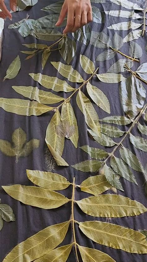 Ecoprint Ecoprinting Ecoprintingonfabric Leavesprints Ecoprinted Ecoprints Naturaldyes