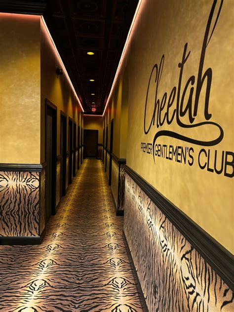 Home Cheetah Premier Gentlemens Club Of Raleigh