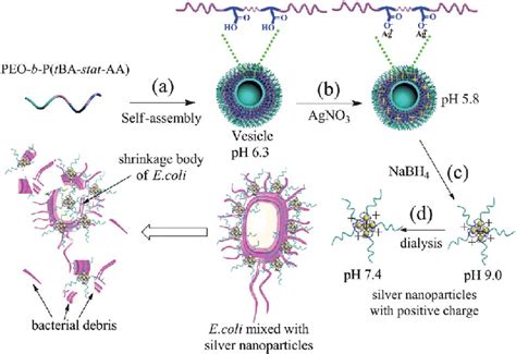 Scheme 1 Preparation Of Ultrafine Antibacterial Silver Nanoparticles
