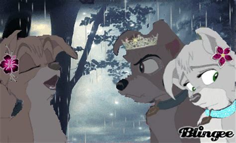 Scamp Protects Cho From Her Sister Angel Picture Blingee Com