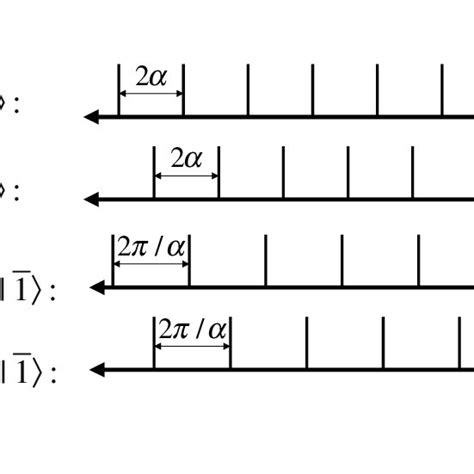 The Nine Qubit 913 Shor Code With Black Qubits On The Vertices
