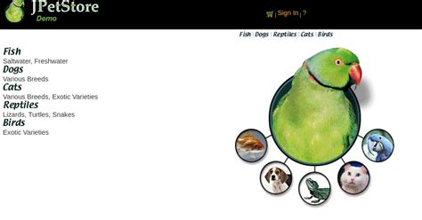 Jmeter Css Jquery Extractor Octoperf