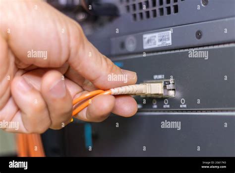 Hand Of A Man Holding The Network Fiber Optic Cables To Connect The Port Of A Switch To Connect