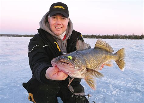 Green Bay Walleyes In Fisherman