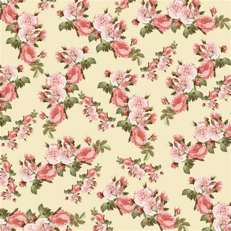 Roses Floral Wallpaper Pink Free Stock Photo Public Domain Pictures