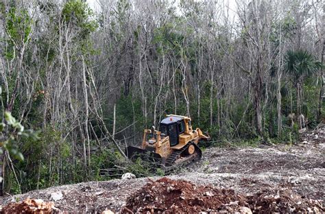 EL UNIVERSAL Tren Maya y la devastación a su paso