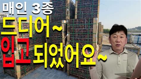 입고소식 드디어 💢입고💢 되었어요 Youtube