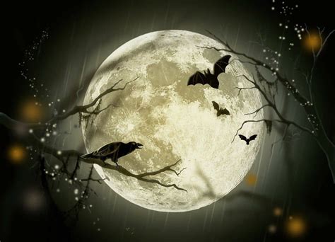 Libros Infantiles Y Juveniles Para Celebrar Halloween