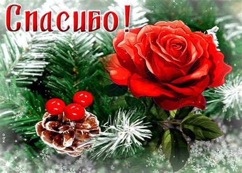 Яркая и оригинальная гиф открытка с розой Спасибо Скачать бесплатно на