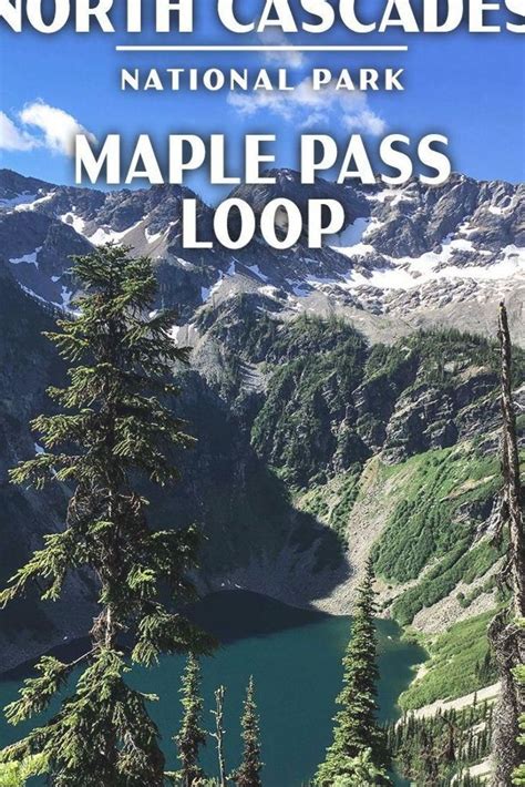 explore the majestic maple pass loop in north cascades national park