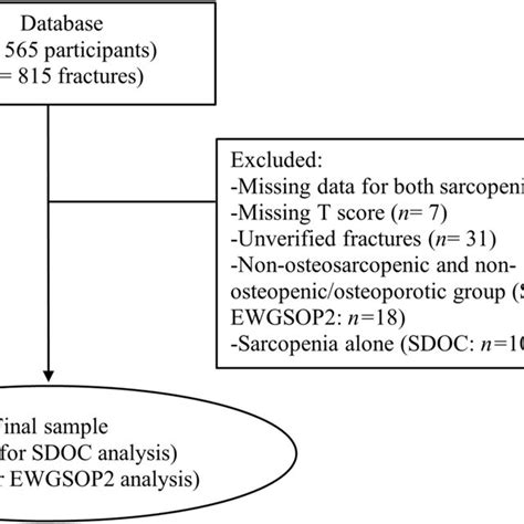 Flow Chart Of The Final Analytical Sample Download Scientific Diagram