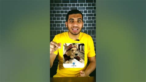 زنقة الكلاب 1 محمدحسن Youtube