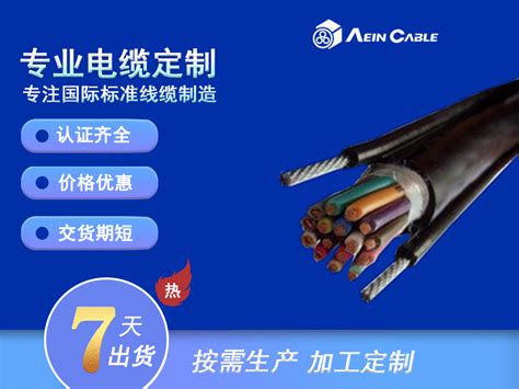Rvv2g双钢丝葫芦手柄电缆