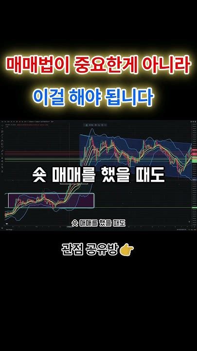 돈벌려면 진짜 중요한건 이겁니다 코인매매법 단타매매 상승장매매법 비트코인불장 손절가 Youtube