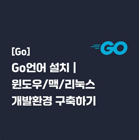 [go] go언어 설치 윈도우 맥 리눅스 개발환경 구축하기 vscode 확장 프로그램 nomadterrace