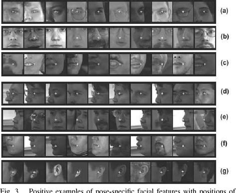 Figure 3 From Feature Based Head Pose Estimation From Images Semantic Scholar