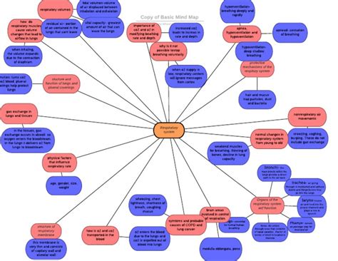 Basic Mind Map Pdf Respiratory System Lung