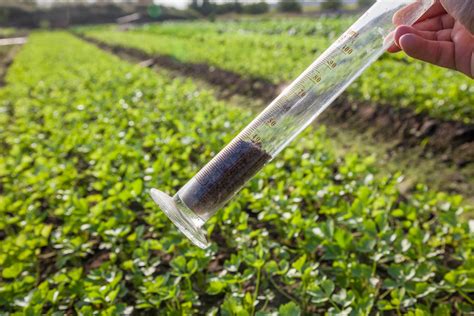 Test Your Soil