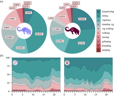 Pungmår Går I Døden For At Få Sex