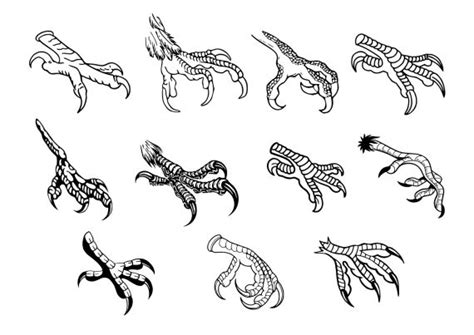 Eagle Claw Tattoo Set Vector Eps Svg