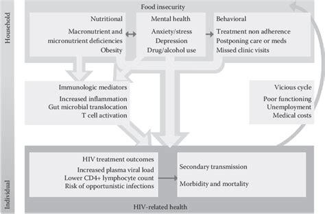 4 Food Insecurity And Hiv Related Health Download Scientific Diagram