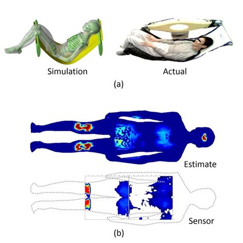 Sling Sheet Simulation A Overall Pose B Pressure Distribution Download Scientific Diagram