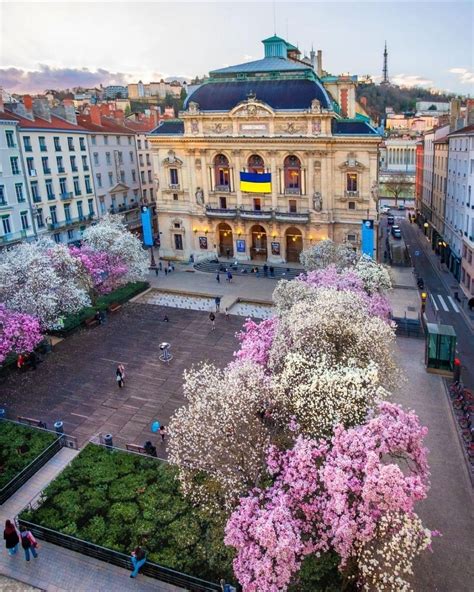 In France Begining Spring Iryna Nakonechna