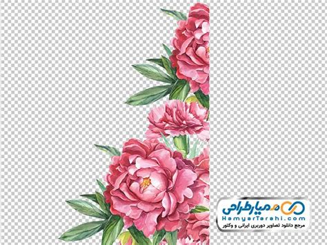 دانلود عکس حاشیه گل 03232231