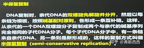 生化——dna的复制及损伤修复整理 知乎
