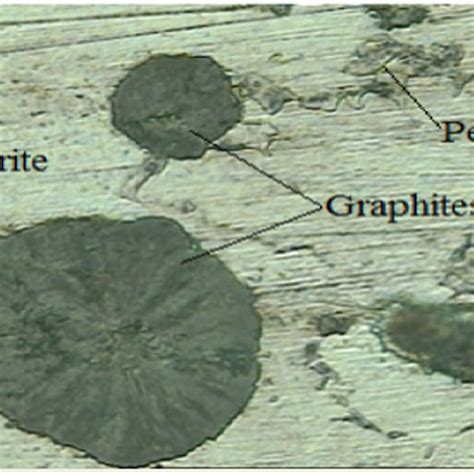 Optical Micrograph Showing Microstructure Of The Dci Substrate Download Scientific Diagram